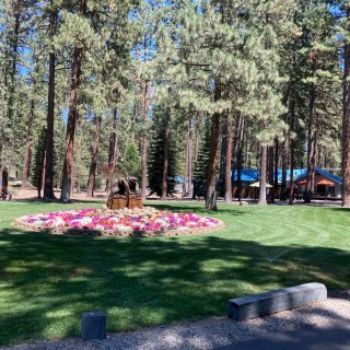 Little Bear RV Park - Blairsden, California - RV LIFE Campground Reviews